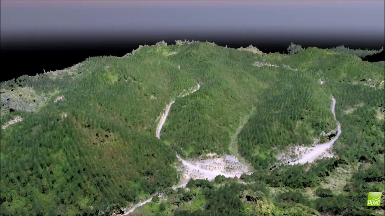 Photogrammetric 3D Forest Canopy Models from UAV / Drones - YouTube