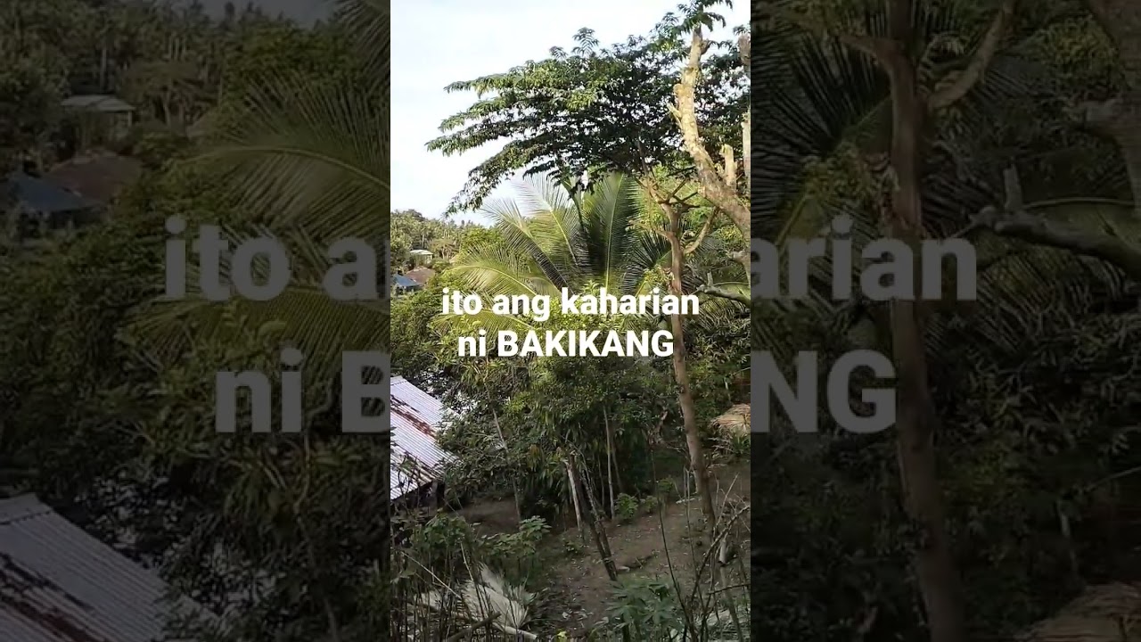 BAKIKANG #2 - YouTube