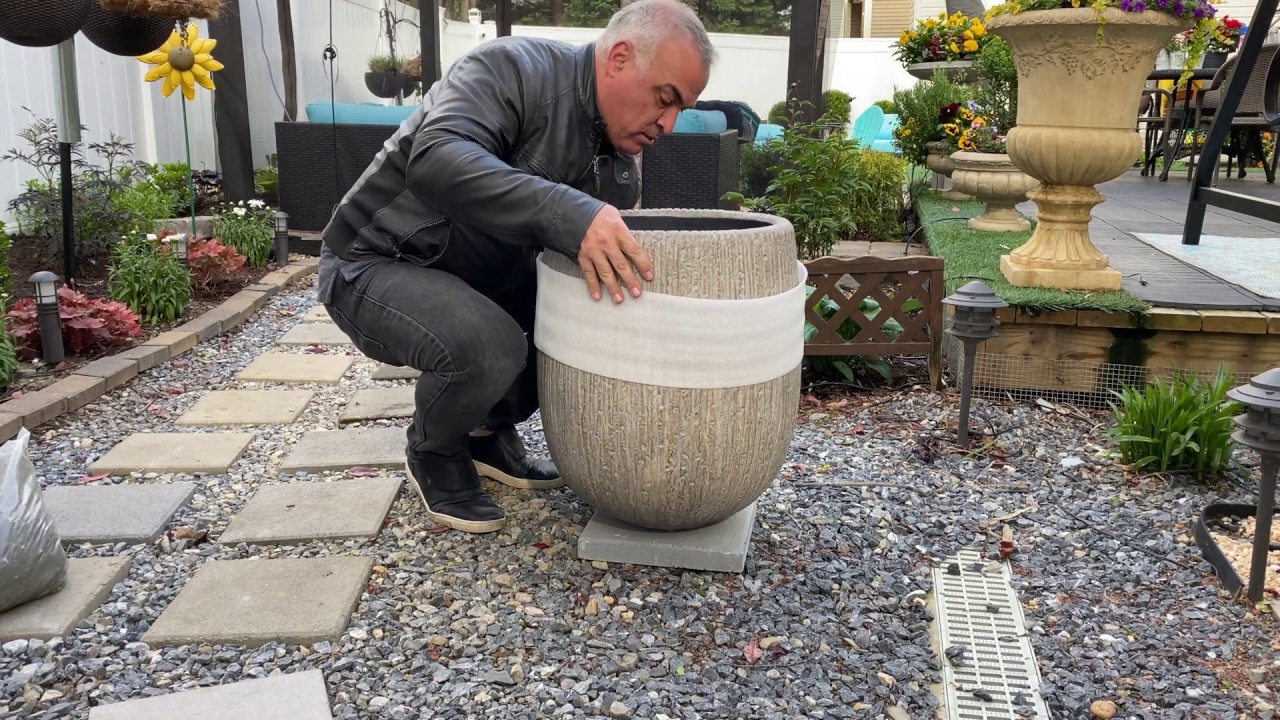 Proven Winners Combination - YouTube