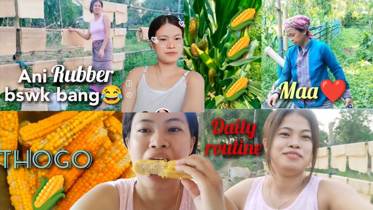 phung Aikha hnk daily rubber lamjkny routine //mohodam🌽thogo//#kokborok #vlog @nikkidebbarma8692 ...