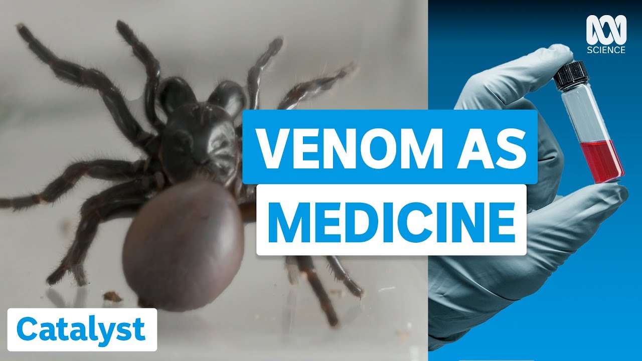 Turning Deadly Venom Into Lifesaving Drugs | Catalyst | ABC Science ...