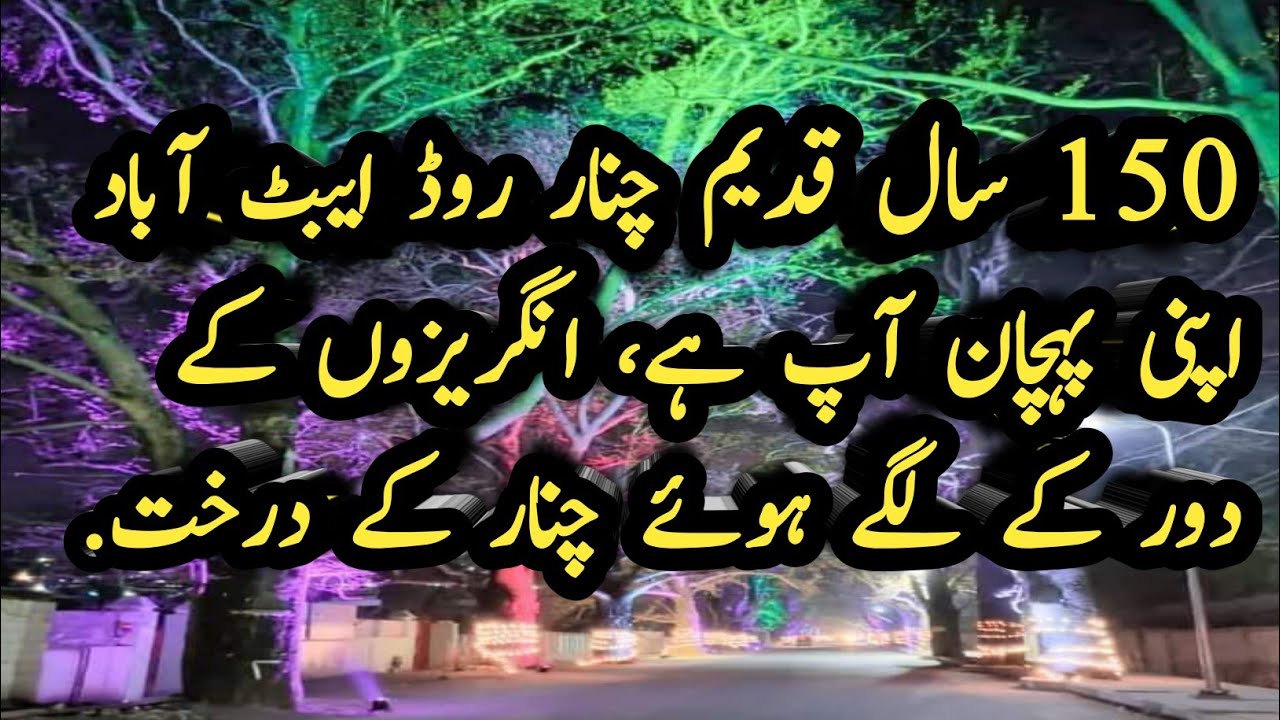 Abbottabad | City Of Pines | Chinar Road | Night View of Chinar Road ...