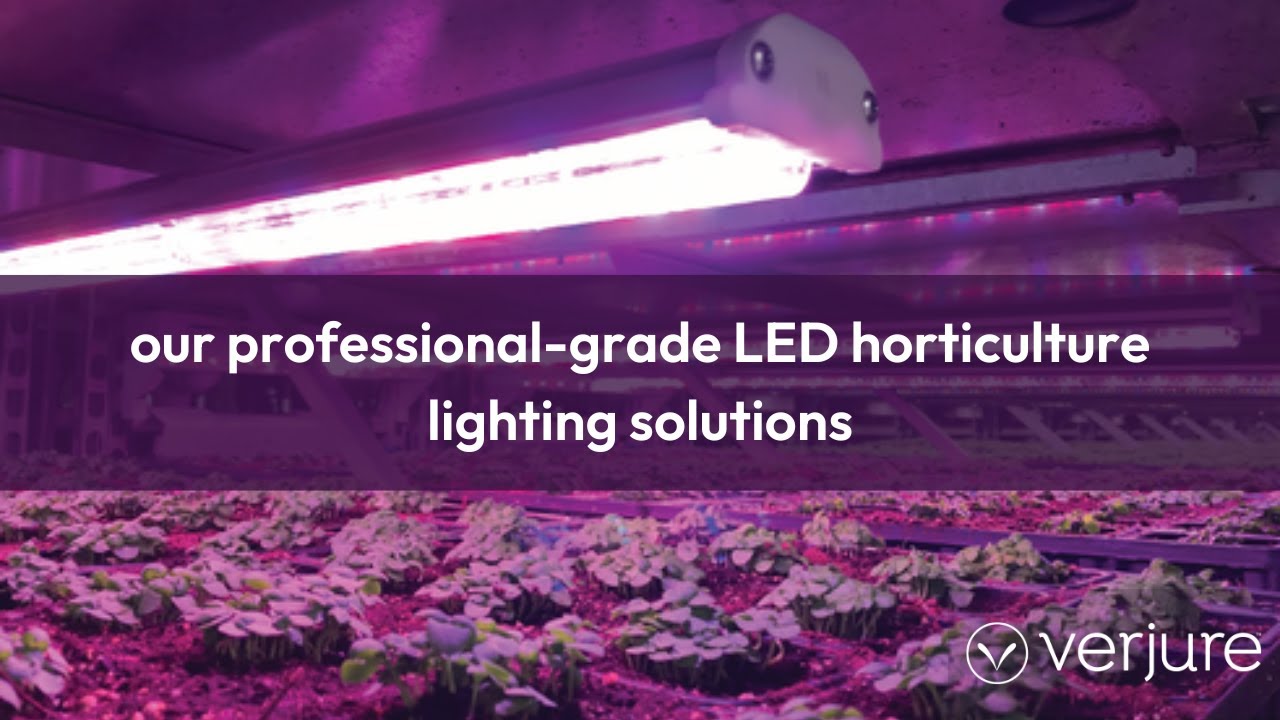 Verjure, horticultural lighting solutions by Holophane - YouTube