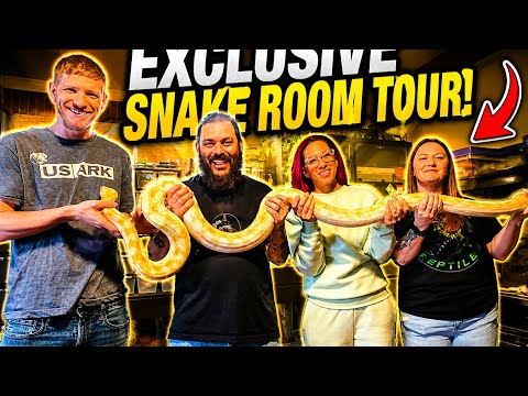 Exclusive Snake Room Tour for Our Friends‼️ - YouTube