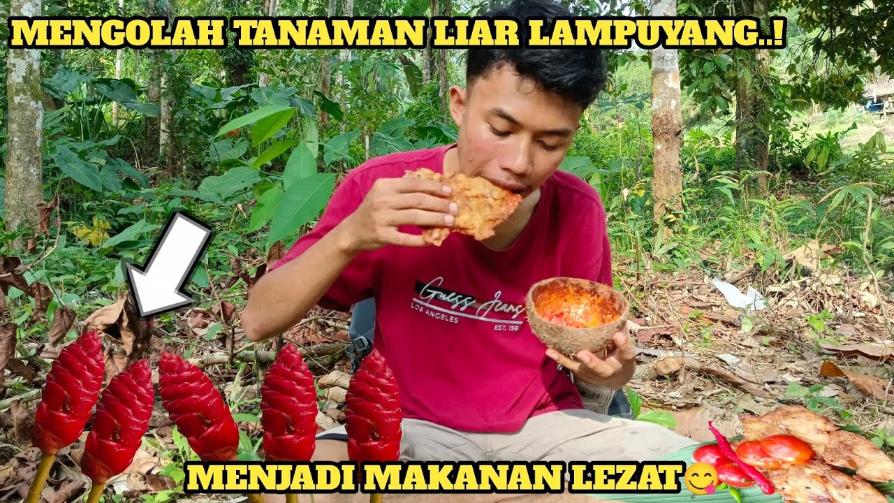 MENGOLAH TANAMAN LIAR BUNGA LEMPUYANG MEJADI MAKANAN LEZAT.. !! - YouTube
