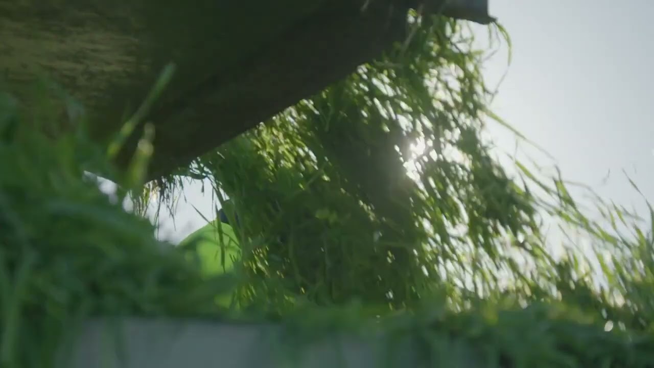 Our Barley Queen , Ms. Maritoni Fernandez Shares With Us Where Our ...