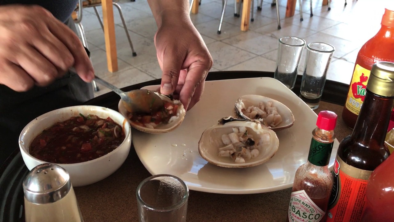 ALMEJA REYNA (mariscos) - YouTube