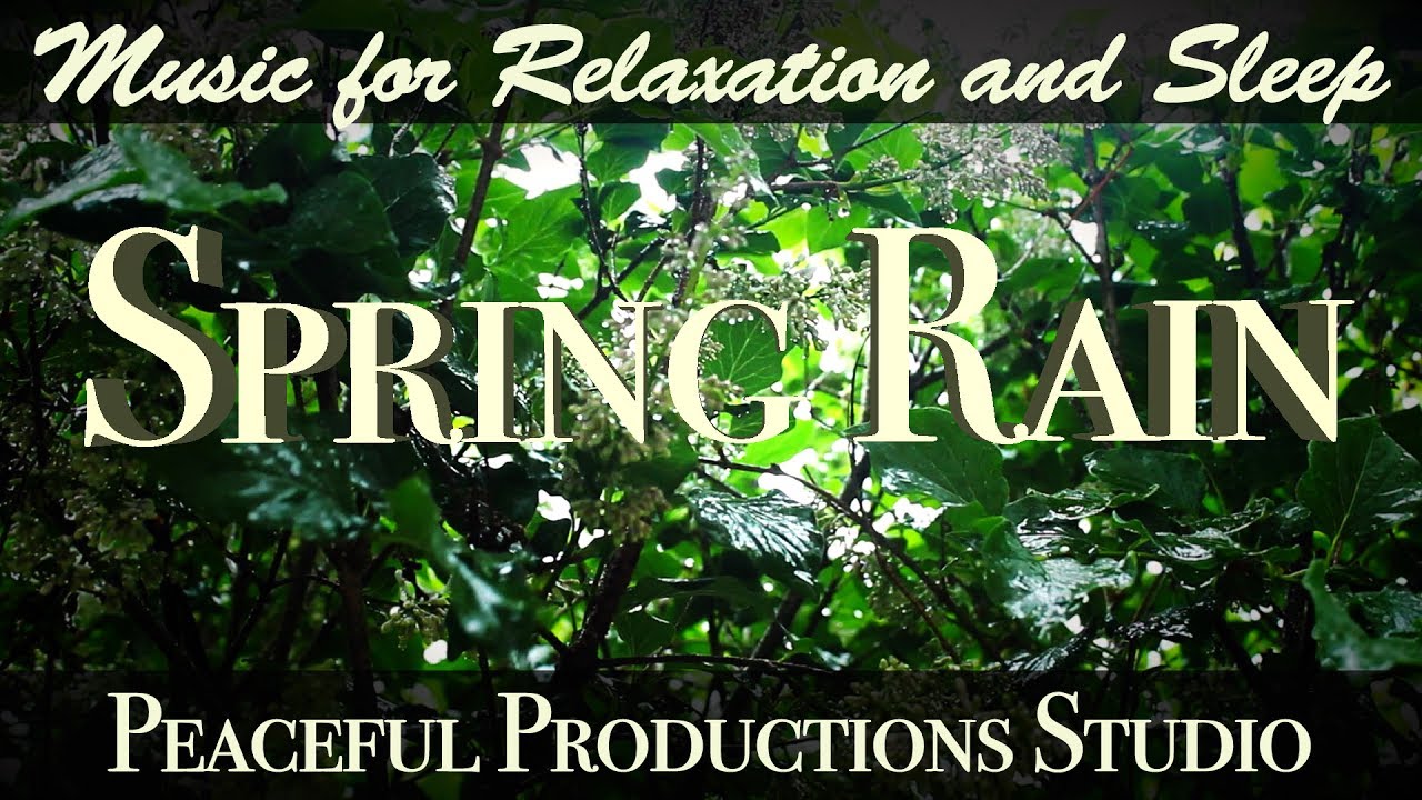 Sounds of a Spring Rain - Relaxing Sounds for Stress Relief, Sleep ...
