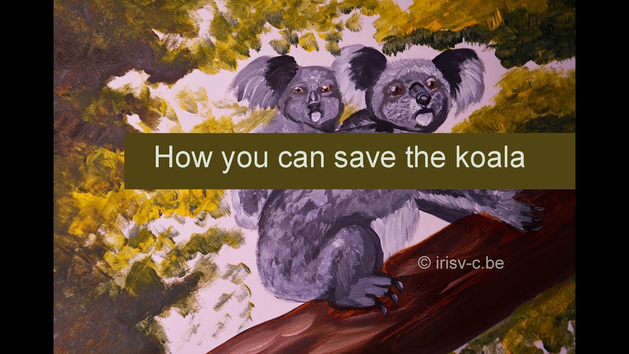 Save the Koalas - WWF - YouTube