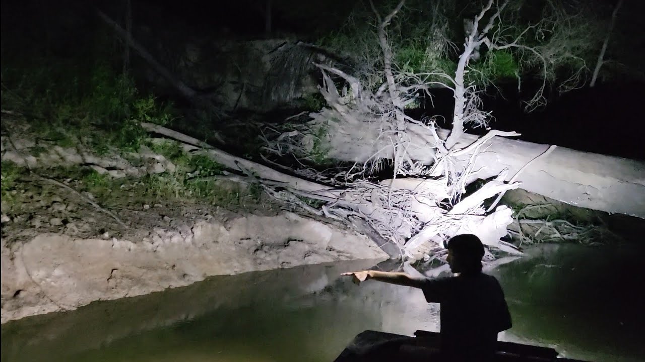 Catching Frogs on the River. - YouTube