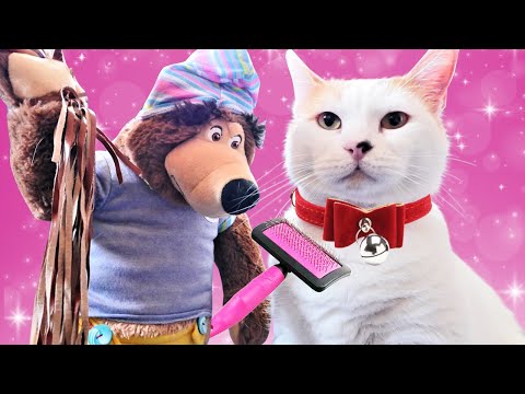 Kedi bakma oyunu! Maşa ve Koca Ayı oyunu. Koca Ayı Ponçik ile oyun oynuyor!