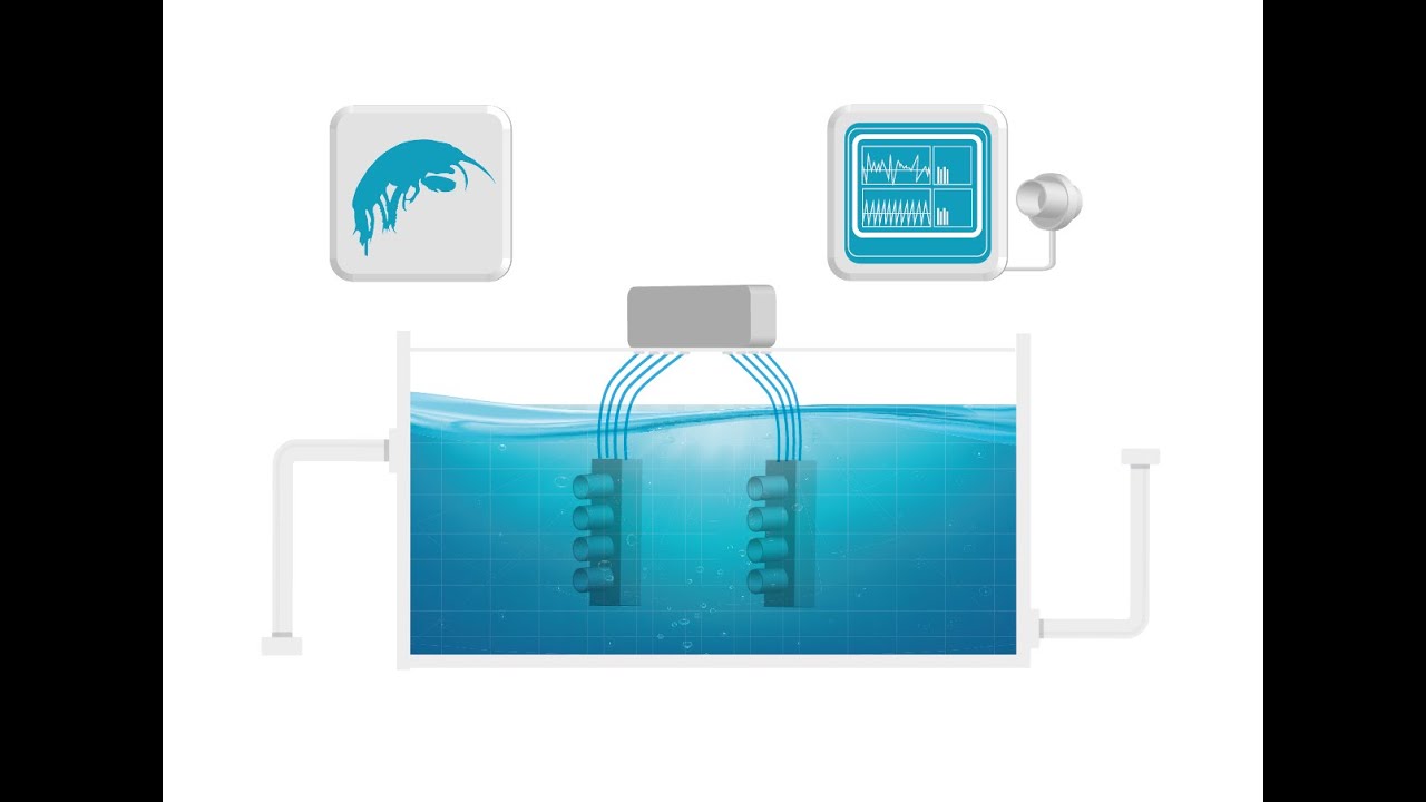 LimCo Toximeter Deutsch - YouTube