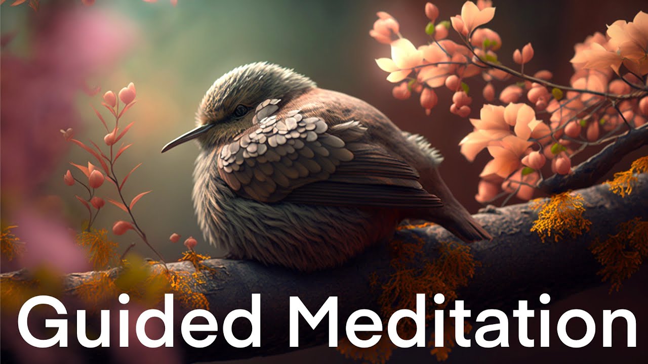 Guided Meditation - Safe Space - YouTube