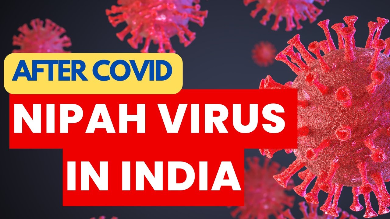 Over 700 people tested for Nipah virus after two deaths in India - YouTube