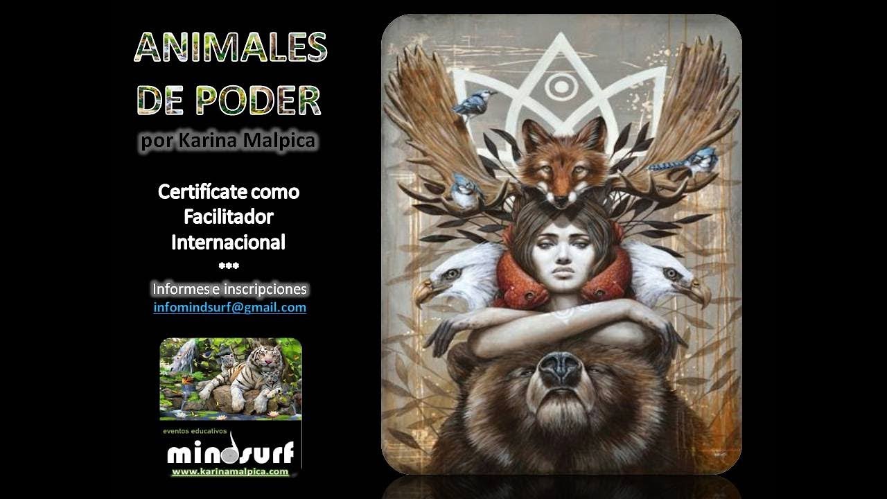 Que pueden hacer los ANIMALES DE PODER por nosotros. - YouTube
