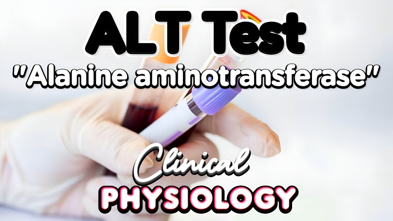 ALT Test, Alanine, Pyruvate, Working solution & measuring Absorbance ...