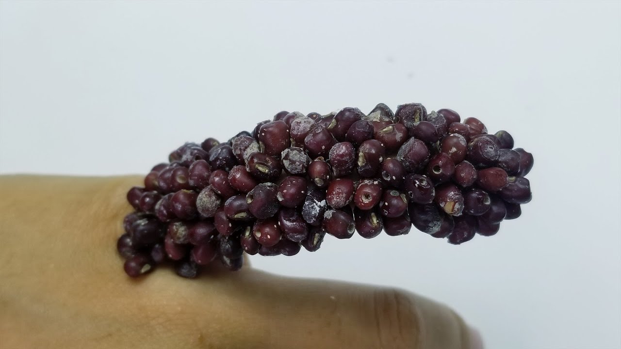 How i remove ticks on my hand #405 - YouTube