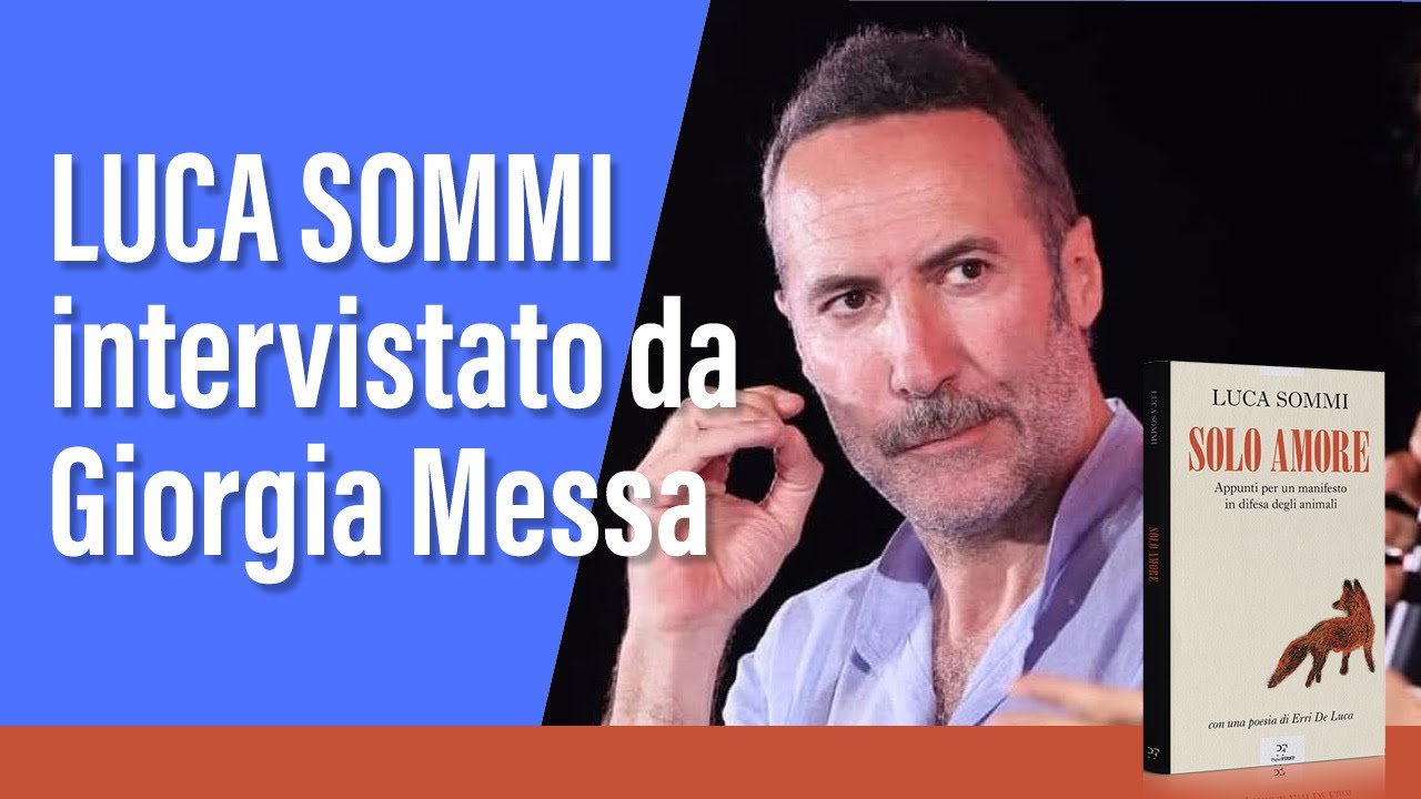Luca Sommi intervistato da Giorgia Messa - YouTube