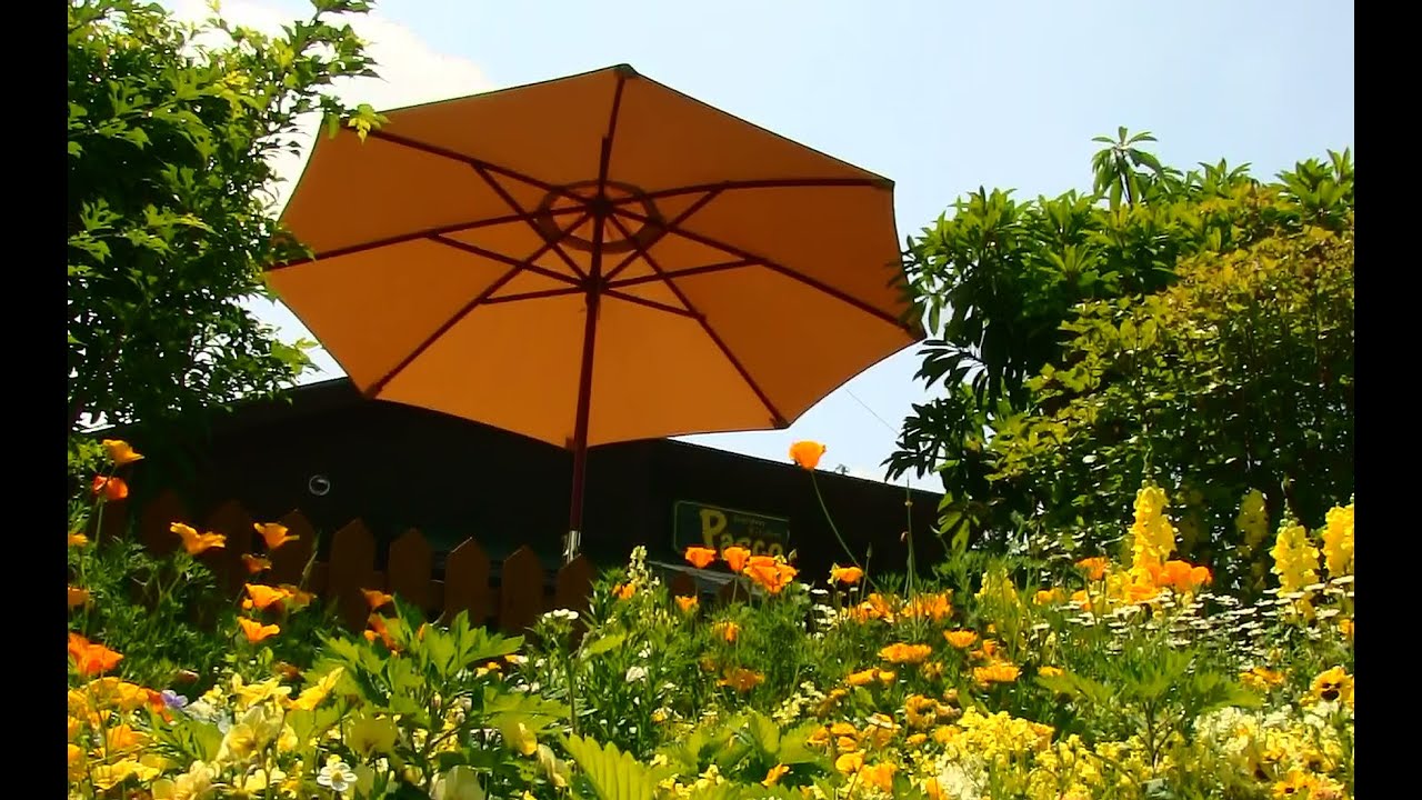 Mat Mathews & Julius Watkins - As Time Goes By - YouTube