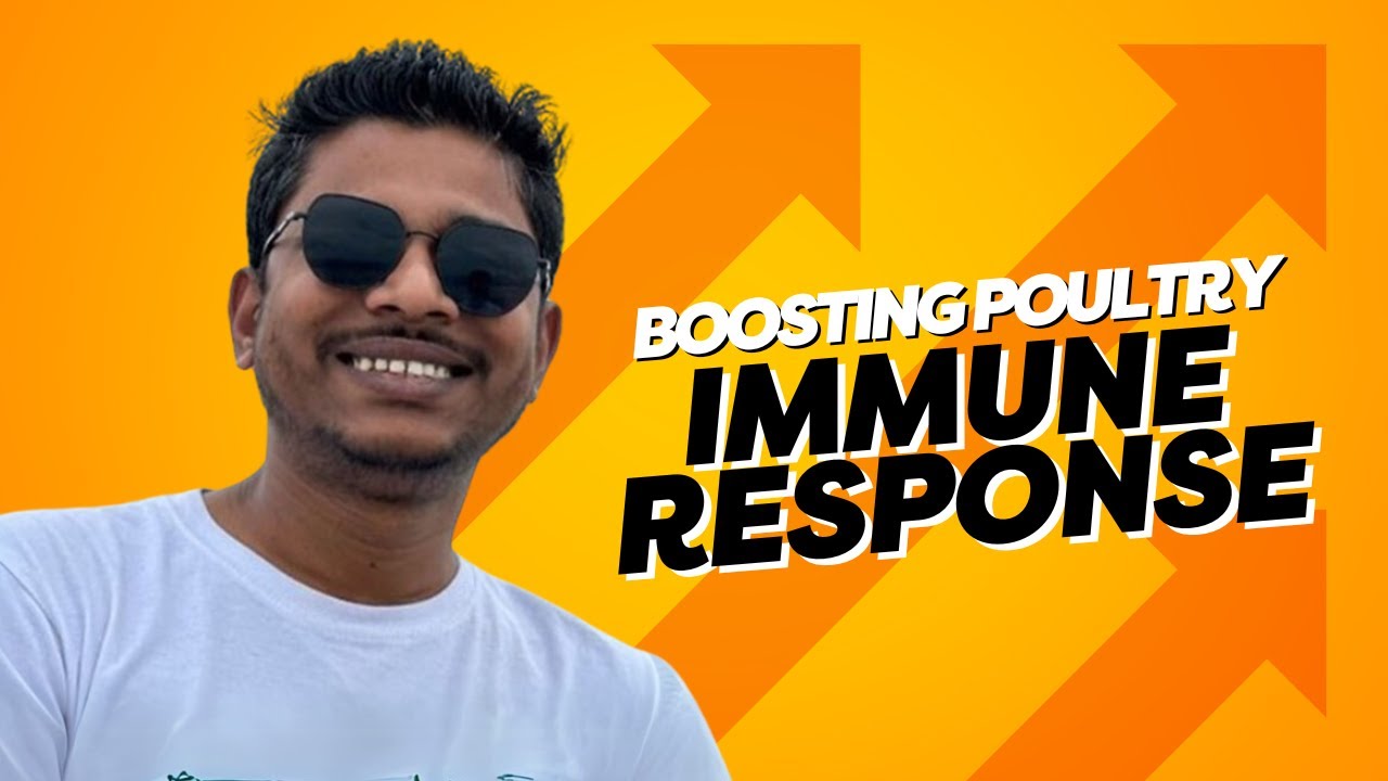 Bikas Raj Shah: Synbiotic Supplementation in Broilers - Part 1 - YouTube