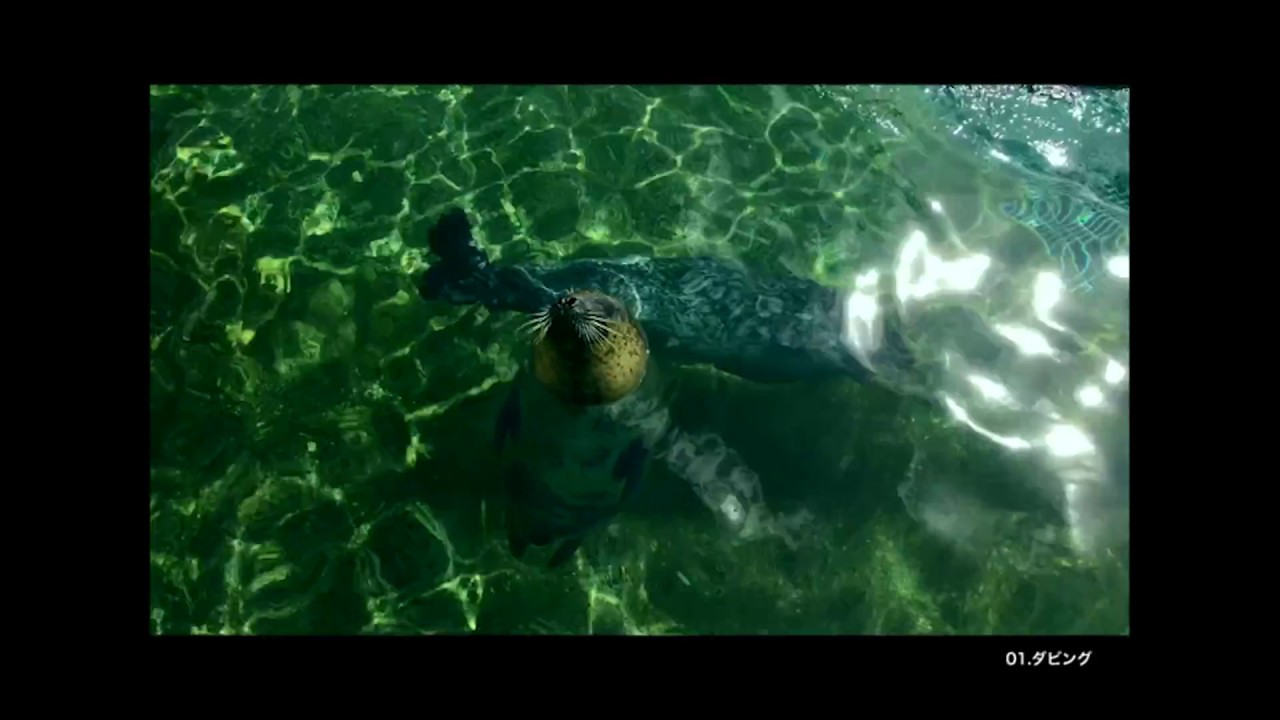 Namae EP trailer - YouTube