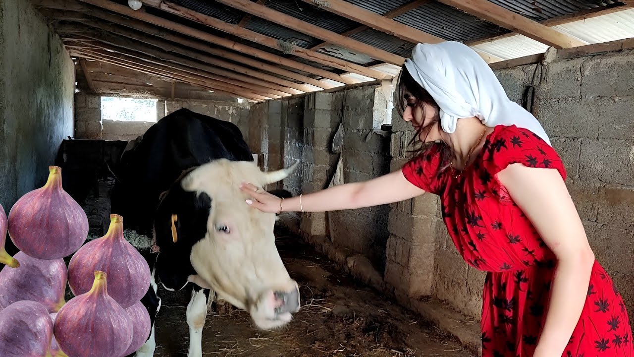 Rural Lifestyle in Iran: Daily Life of Iranian Girls in the Village ...
