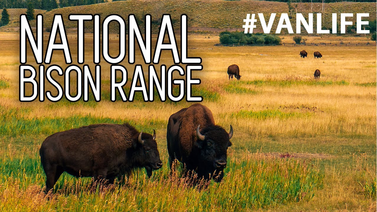 Bison Range