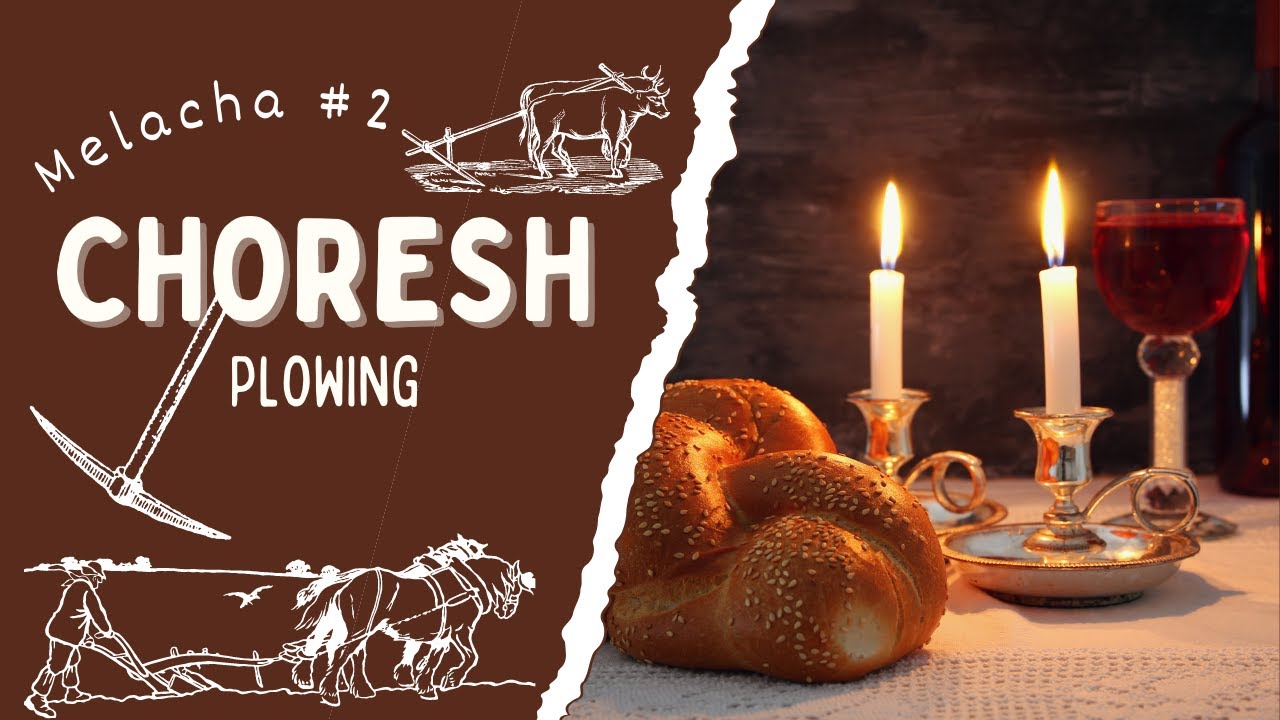 Melacha #2 - Choresh (Plowing) - YouTube
