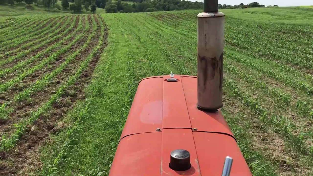 cultivating a corn field on a Wisconsin family farm - YouTube