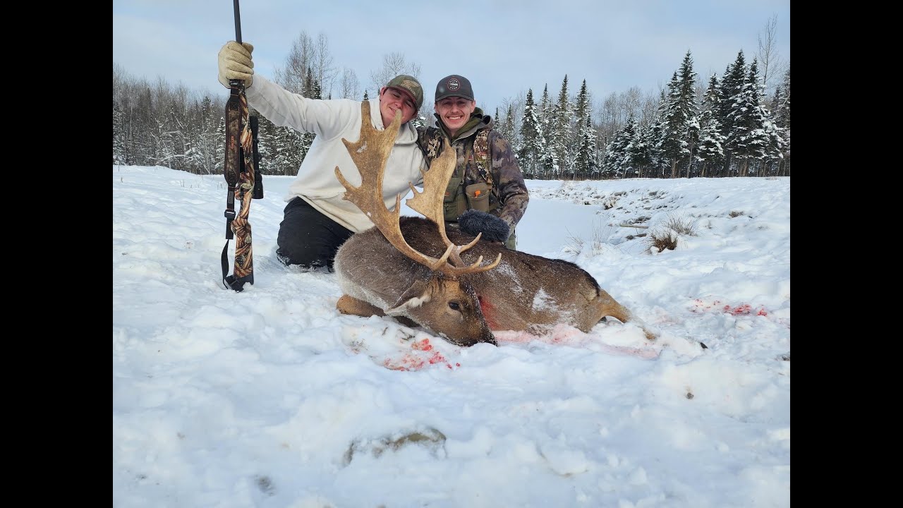 Events Gallery | Moose Maine Kids