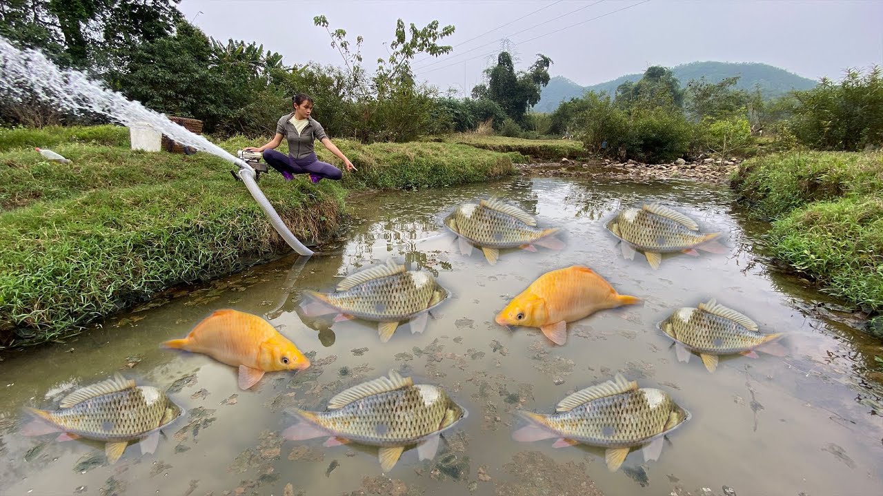 How to catch fish in a natural lake with a pump from start to finish ...