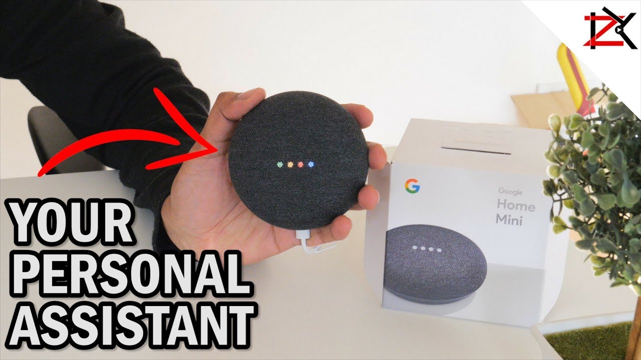 How To Setup The Google Home Mini Device | Review + With Some FUN ...