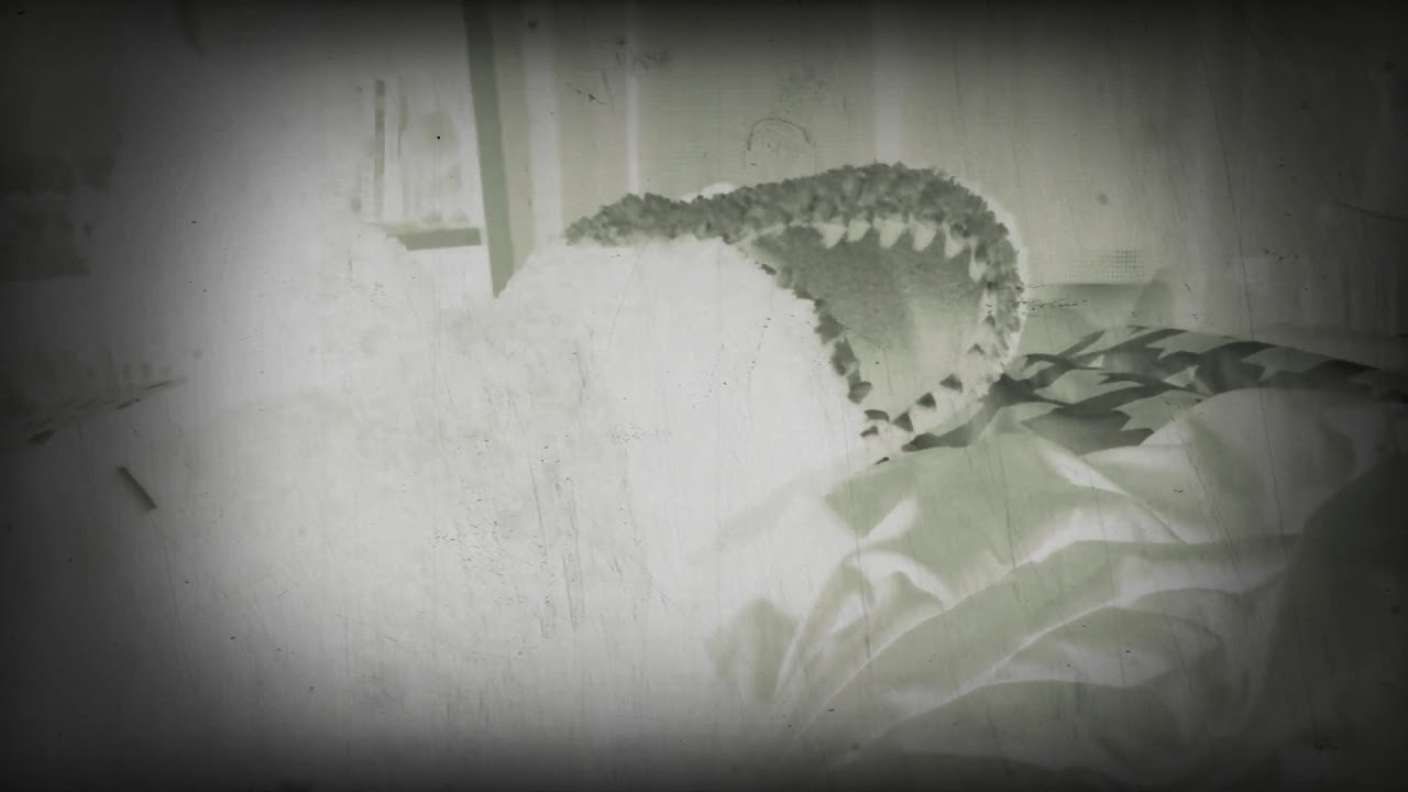 The ghost of dinosaur 🦖 - YouTube