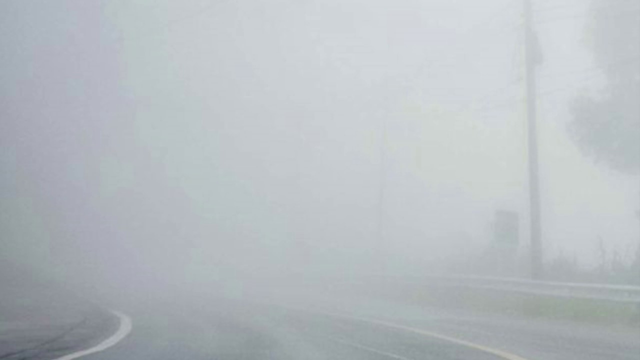 Cartoon Cat Appears in Carson City Road - YouTube