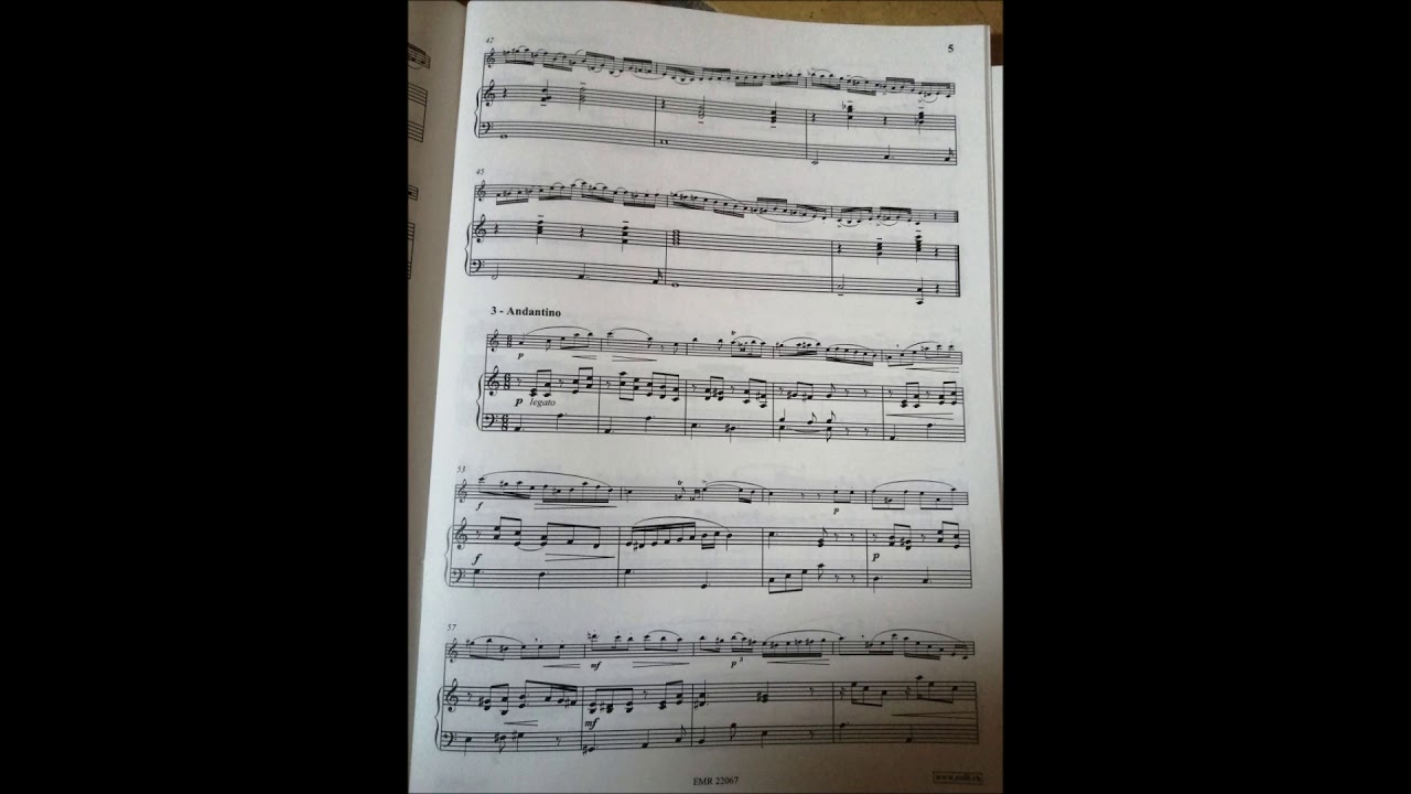 FERLING 48 études op 31 pour hautbois ANDANTINO Etude n°3 - YouTube