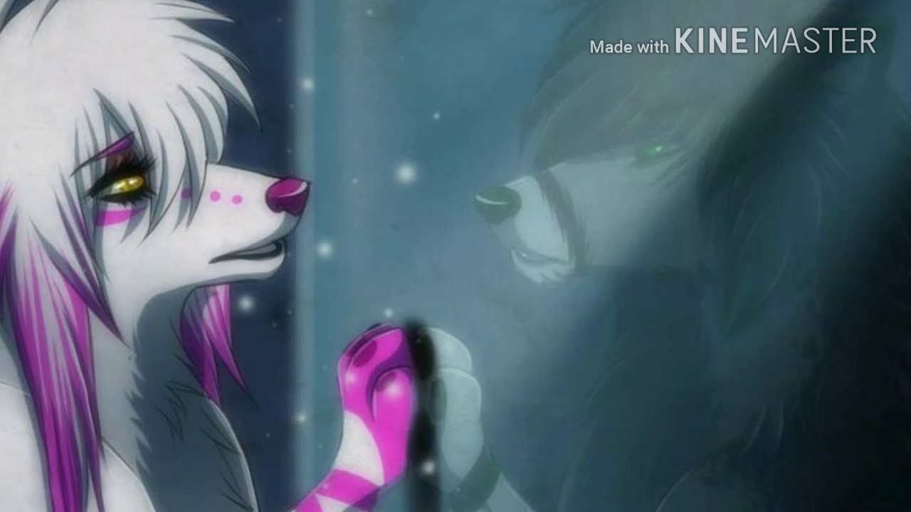 Anime wolves: bleeding love - YouTube