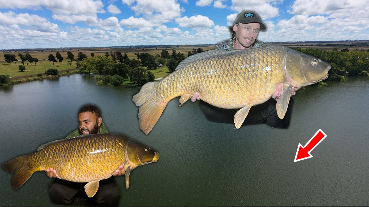 Donaldson Dam Went OFF! 4x 30lb Carp with the DCN Baits Team - YouTube