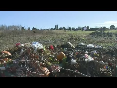 Graveyard Garbage: N.S. cemetery battling illegal dumping - YouTube
