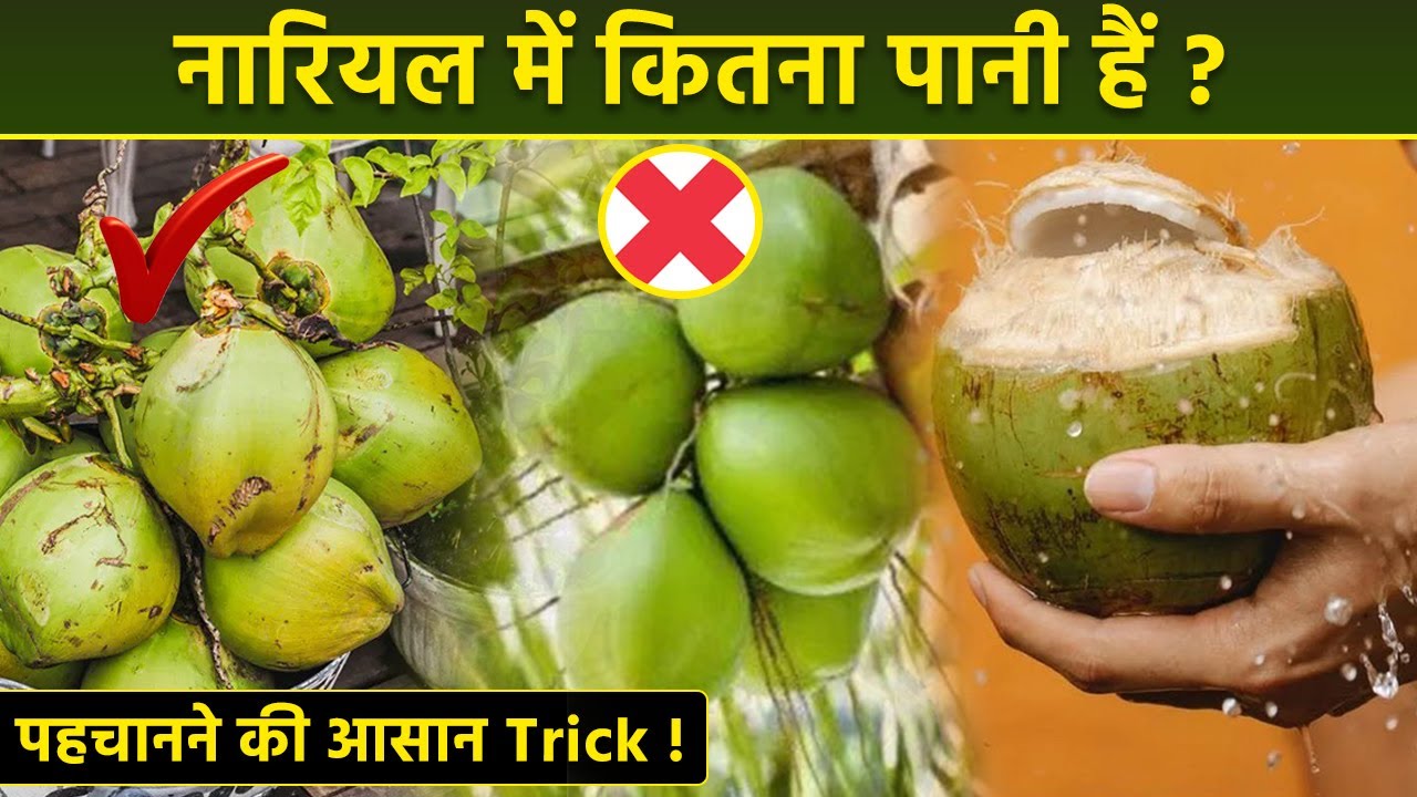 Coconut Water Tricks: ज्यादा पानी वाले नारियल को कैसे पहचानें, Kis ...