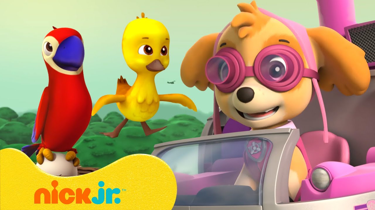 PAW Patrol Rescues Birds! 🐤 10 Minute Compilation | Nick Jr. - YouTube