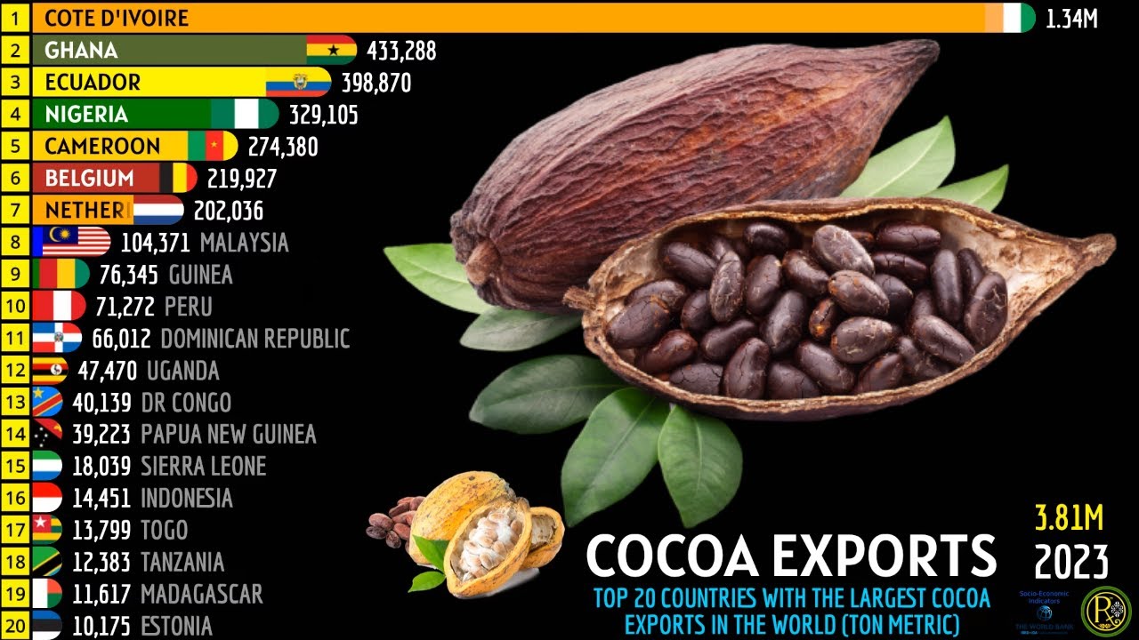 TOP 20 COUNTRIES WITH THE LARGEST COCOA EXPORTS IN THE WORLD - YouTube