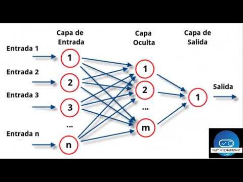 Reconocimiento de Imágenes con Redes Neuronales Convolucionales CNN ...