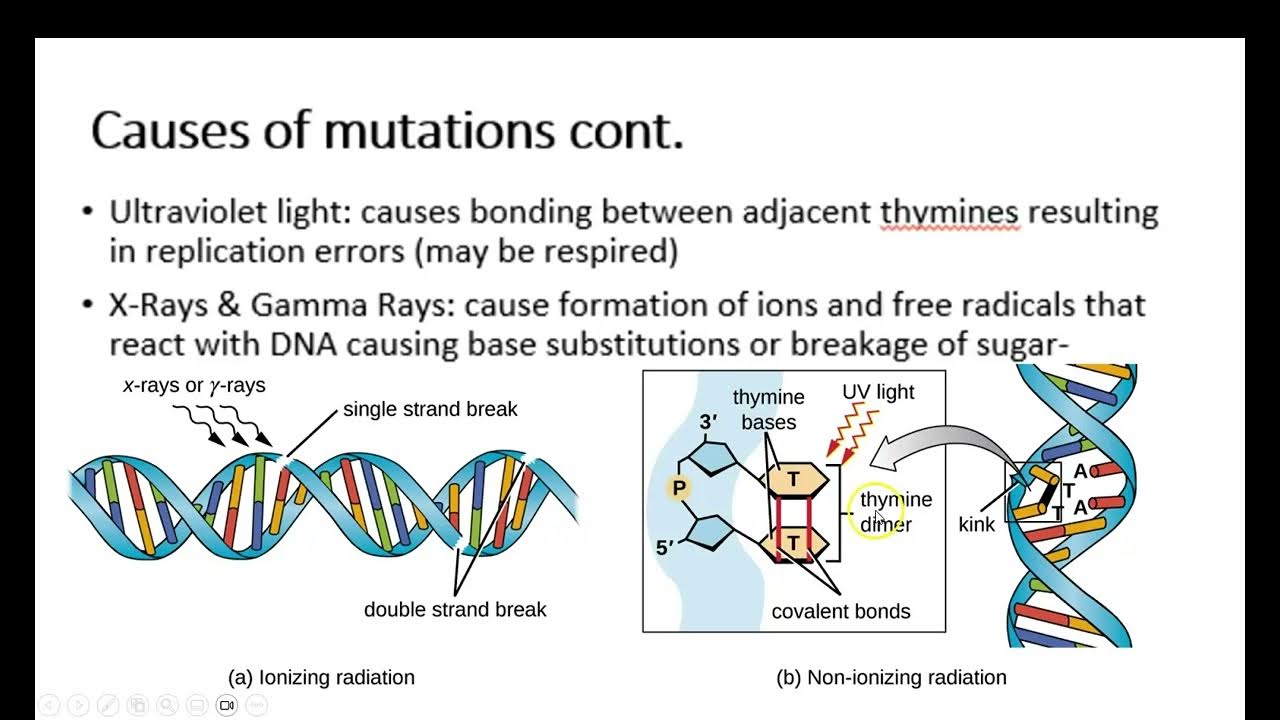 Ch 11 Part 3 - YouTube
