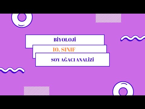 10.Sınıf BİYOLOJİ / Soy Ağacı Analizi