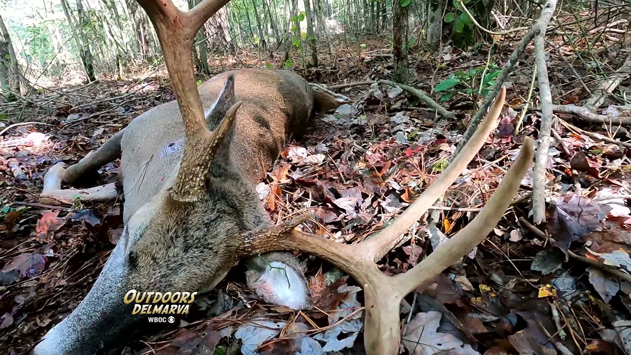 Outdoors Delmarva: Deer Hunting a Cold Front - YouTube