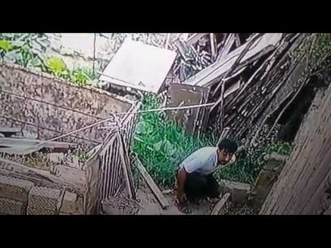 Saray qəsəbəsində oğru