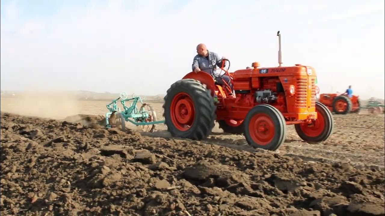 FESTA DEI TRATTORI MONTICELLI SECONDA EDIZIONE 15/10/2023 - YouTube