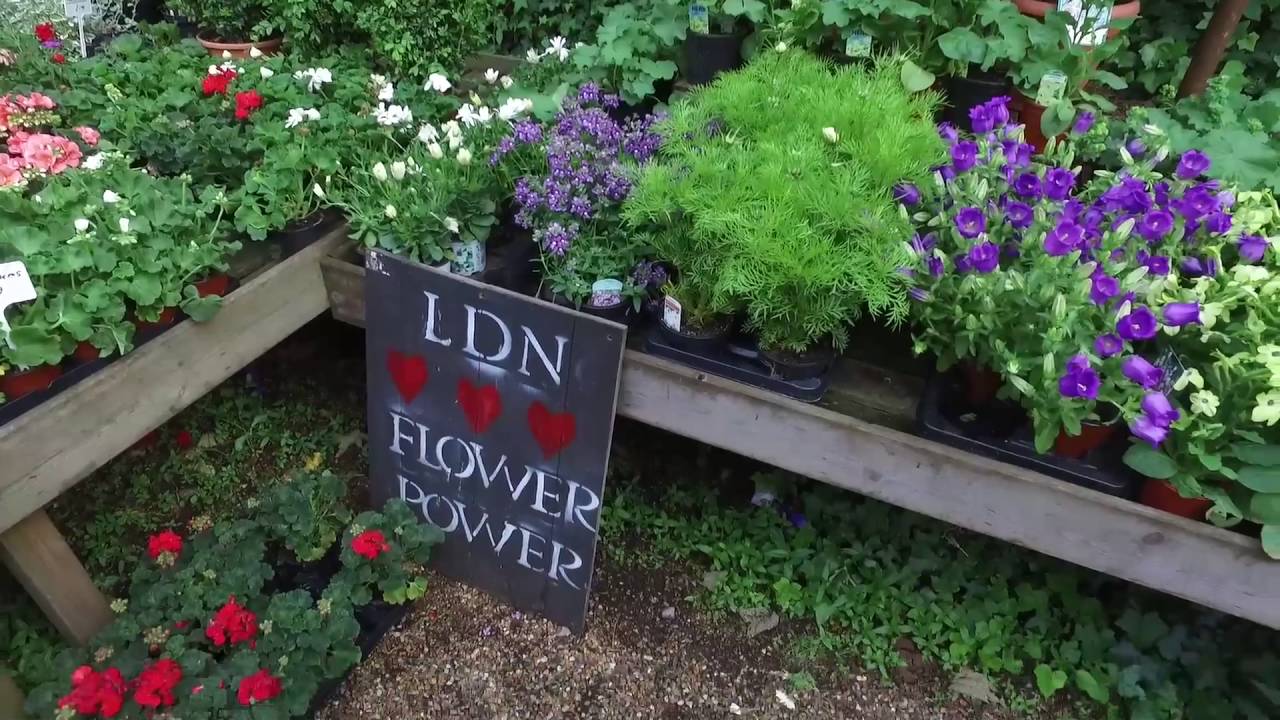 The Best Flower Station for Shopping in Battersea London - YouTube