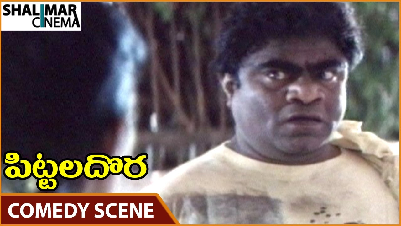 Pittala Dora Movie || Babu Mohan Hilarious Comedy Scene || Ali, Indraja ...