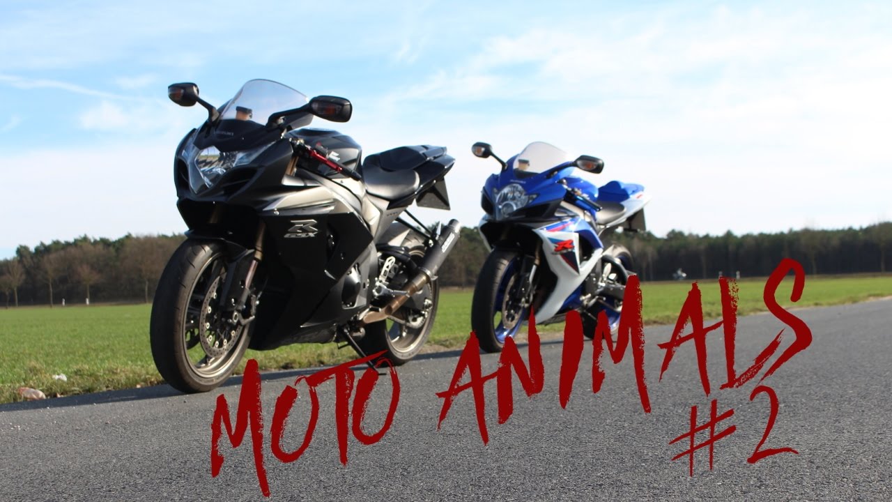 Moto Animals #2| Saisonstart 2017 | - YouTube